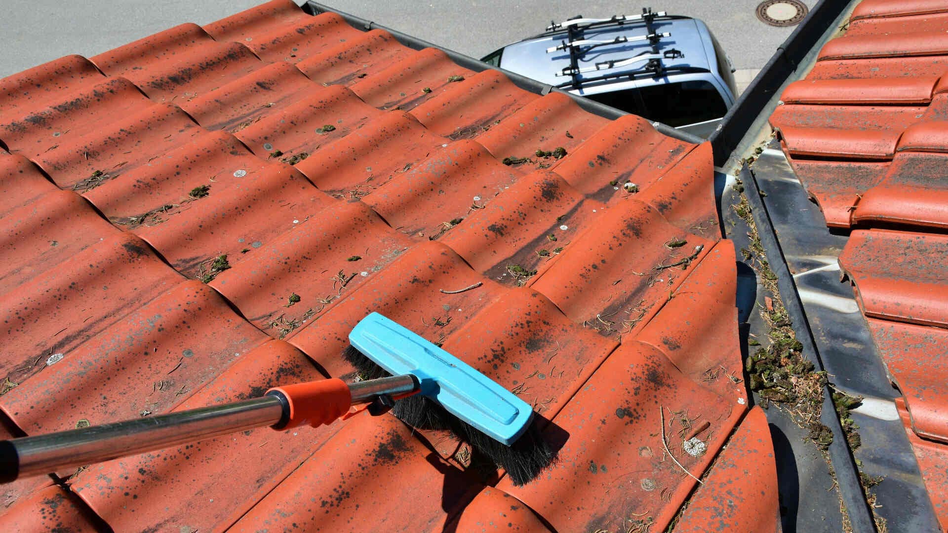 How to clean a metal roof? | INSTANT ROOFER