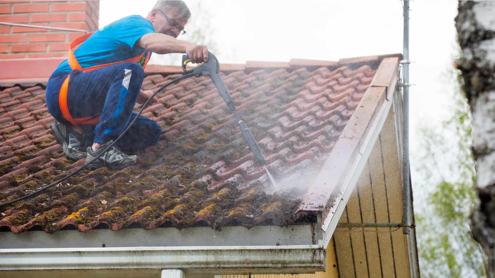 How to clean moss off the roof? | INSTANT ROOFER