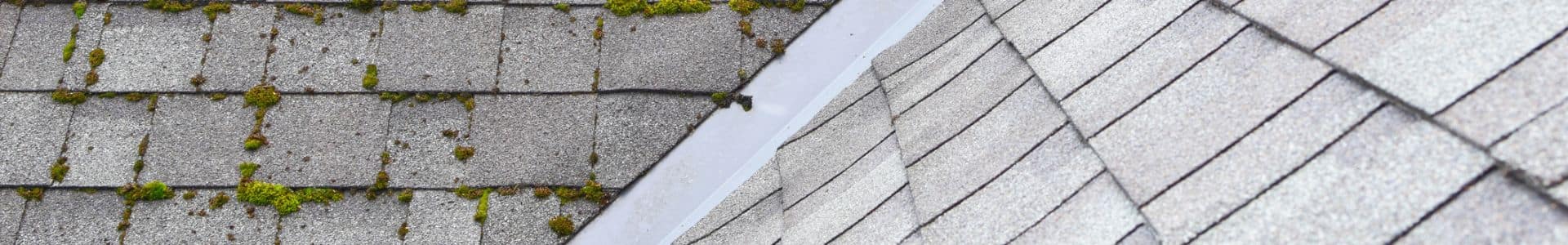 How to Clean an Asphalt Shingle Roof | INSTANT ROOFER