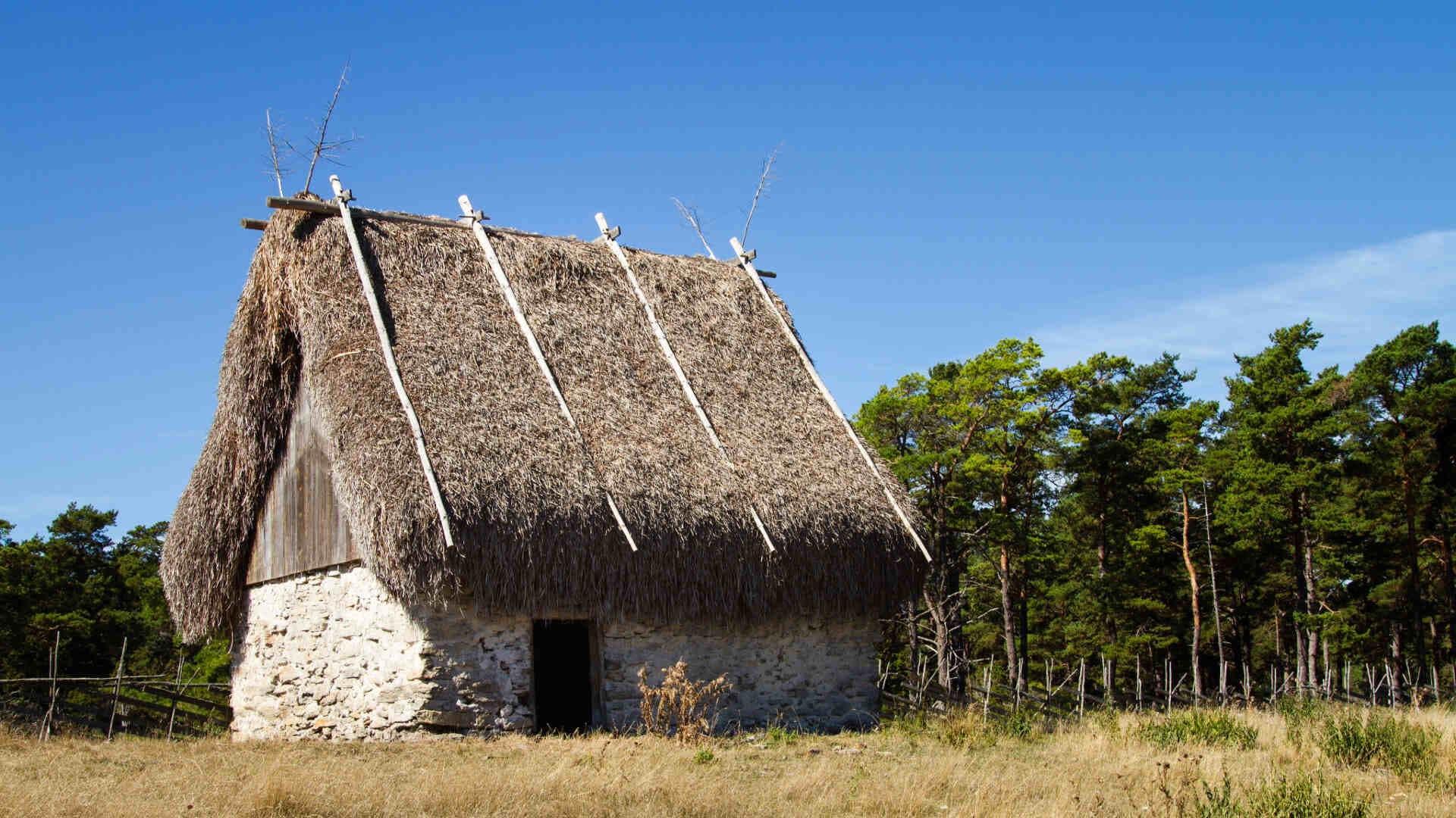 How Long Do Thatched Roofs Last? | INSTANT ROOFER