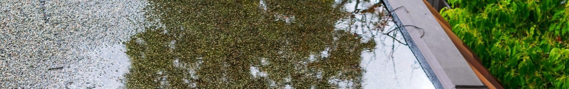 Types of Roof Drainage To Remove Water From Your Roof | Instant Roofer